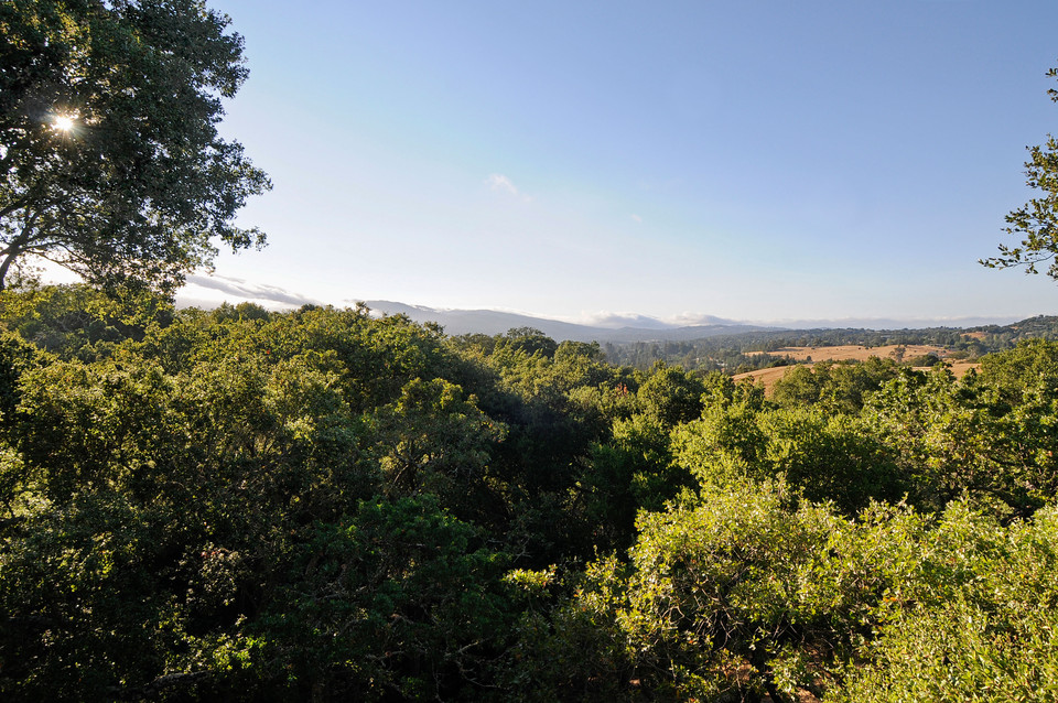 9 Franciscan Ridge, Portola Valley CA 94028 | Kavanaugh Real Estate Group