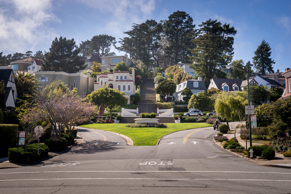 Forest Hill | Kelly Quon