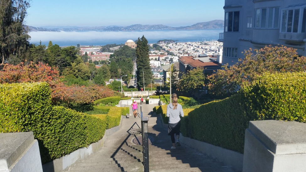 The Best of Pacific Heights, San Francisco, CA | Dona Crowder