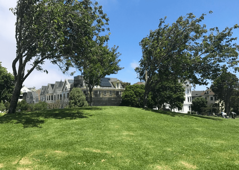 Duboce Triangle | San Francisco Bay Area | Barbagelata Real Estate ...