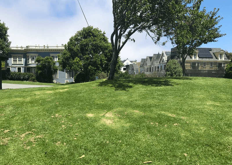 Duboce Triangle | San Francisco Bay Area | Barbagelata Real Estate ...